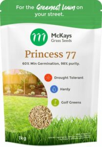 Princess 77 Couch Seed - McKays Grass Seeds